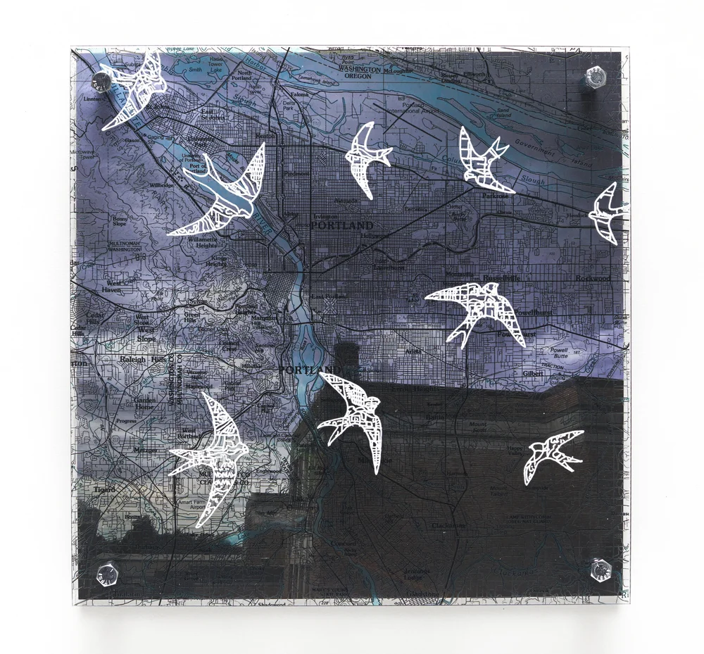 Portland Swifts of Chapman Elementart — Modern Terrain