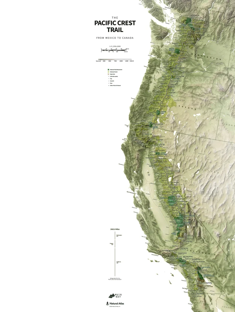Giant Pacific Octopus Drawn from a Tacoma Narrows Map — Modern Terrain