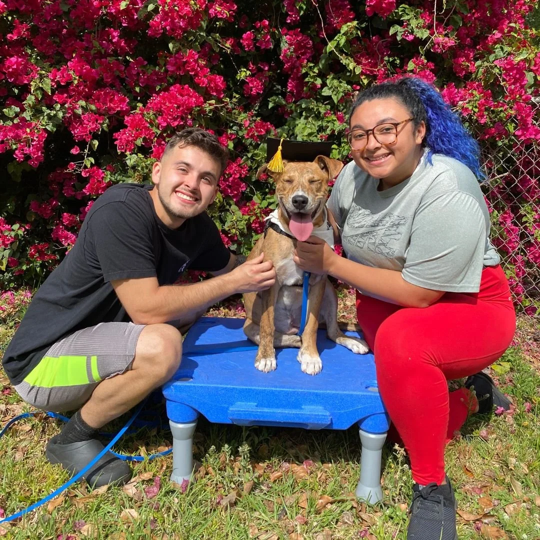 In Home Dog Training | Bergen County | Mind Body Paws