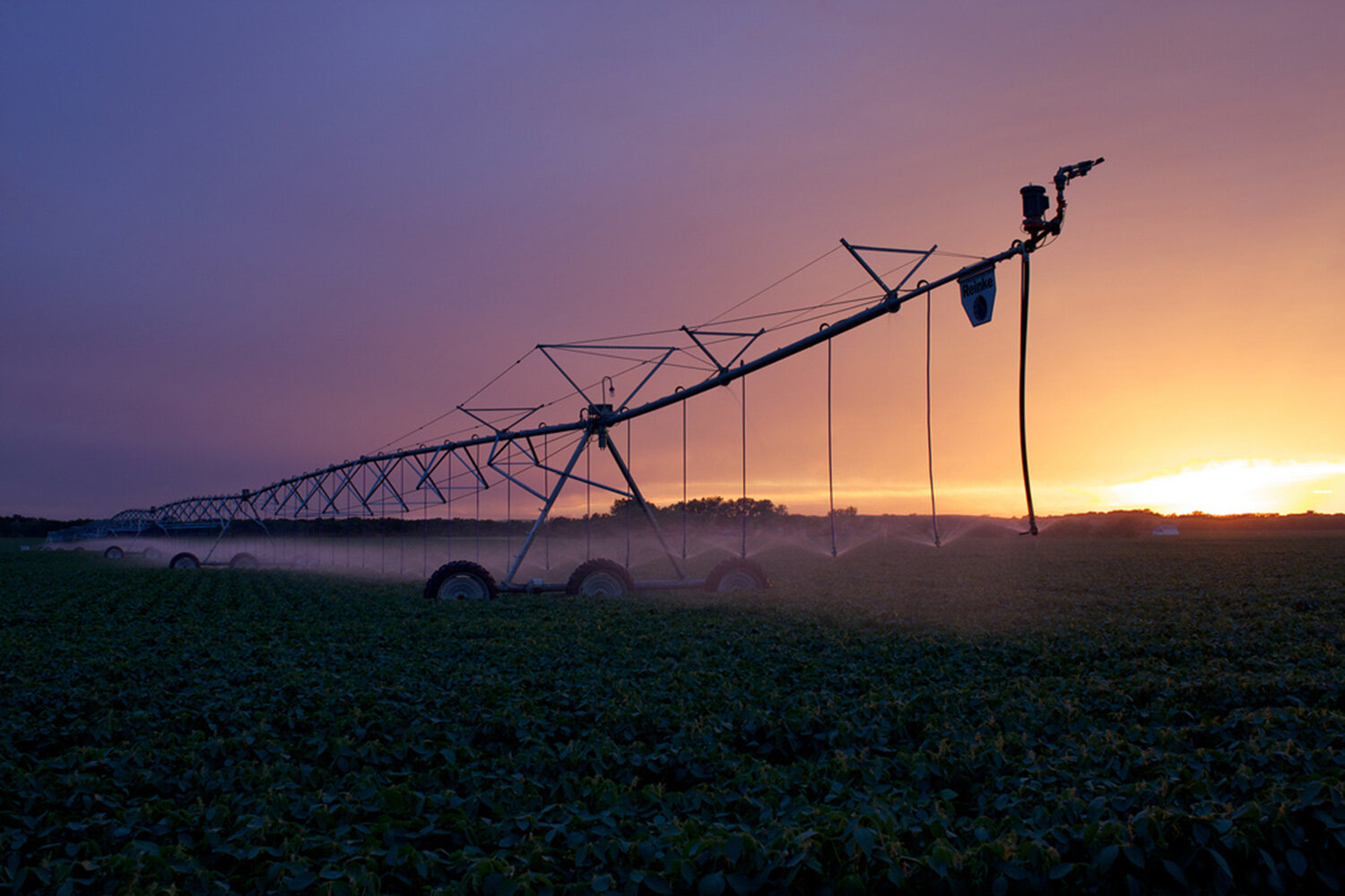 Delta Irrigation Ltd.