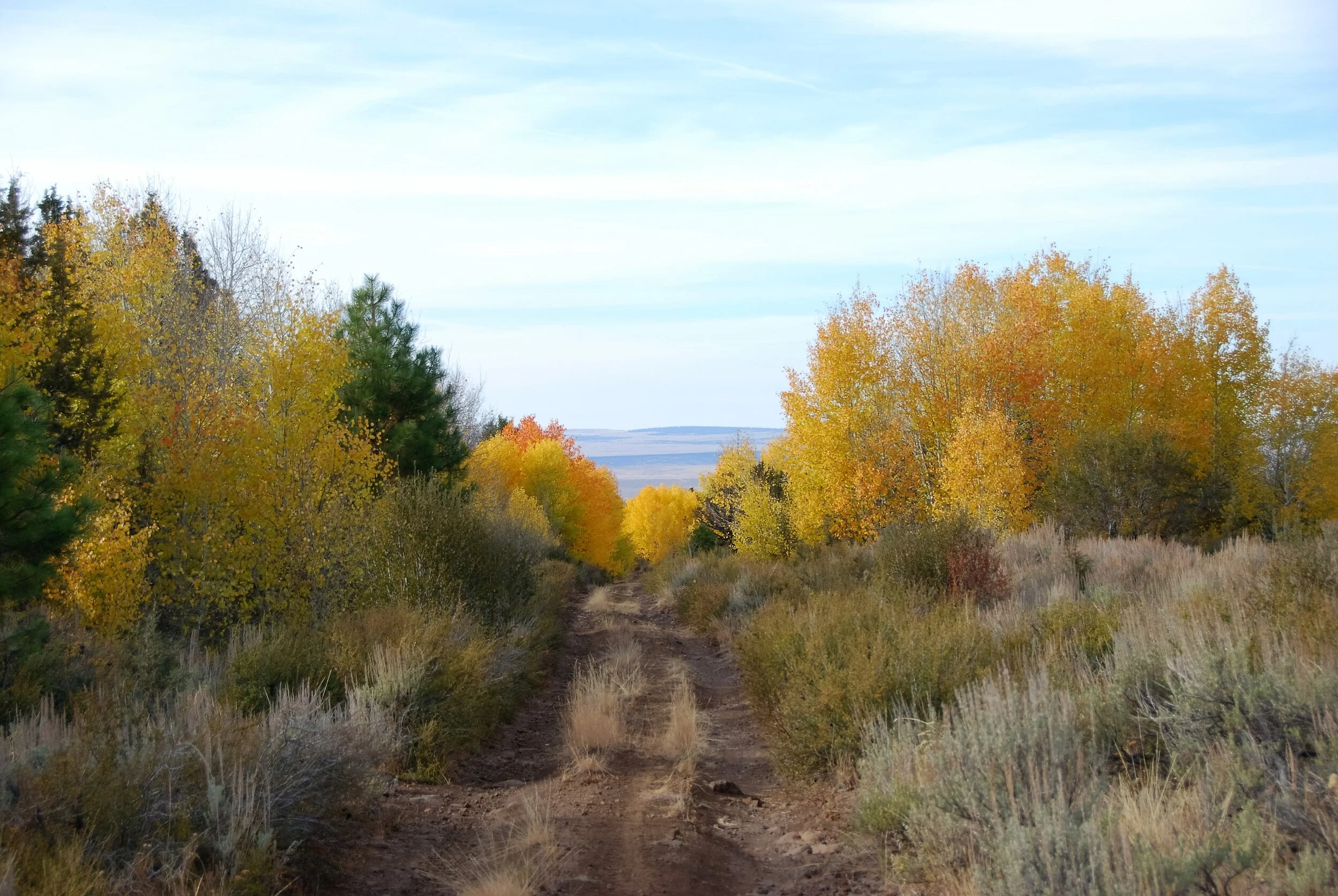 Foursquare Community Church