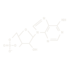 ADCY5-related movement disorder — ADCY5.org