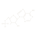 ADCY5-related movement disorder — ADCY5.org