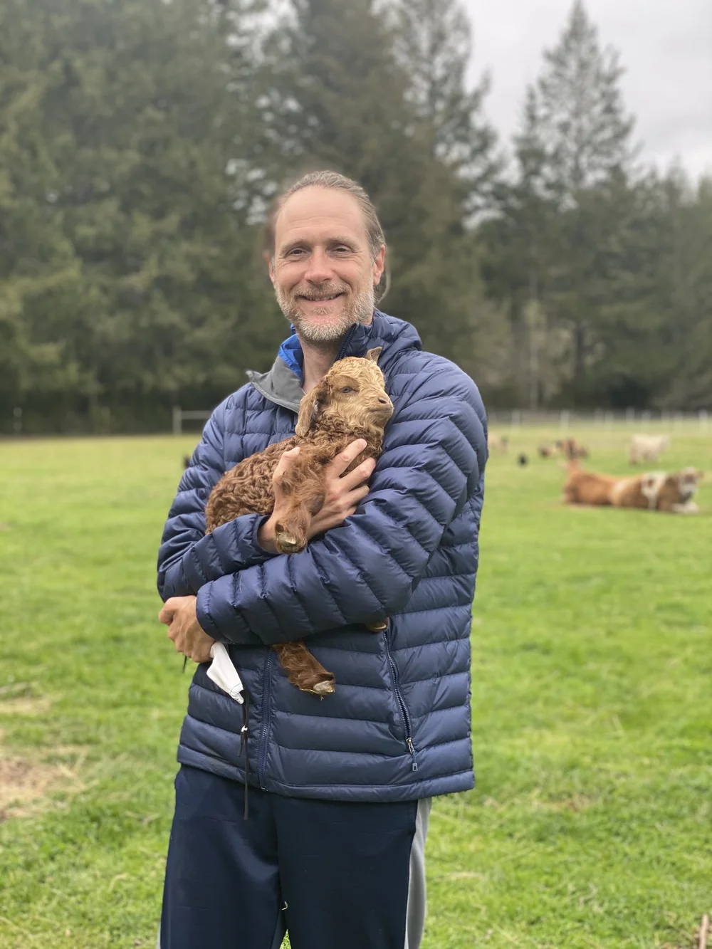 Shop — Brunner Family Farm