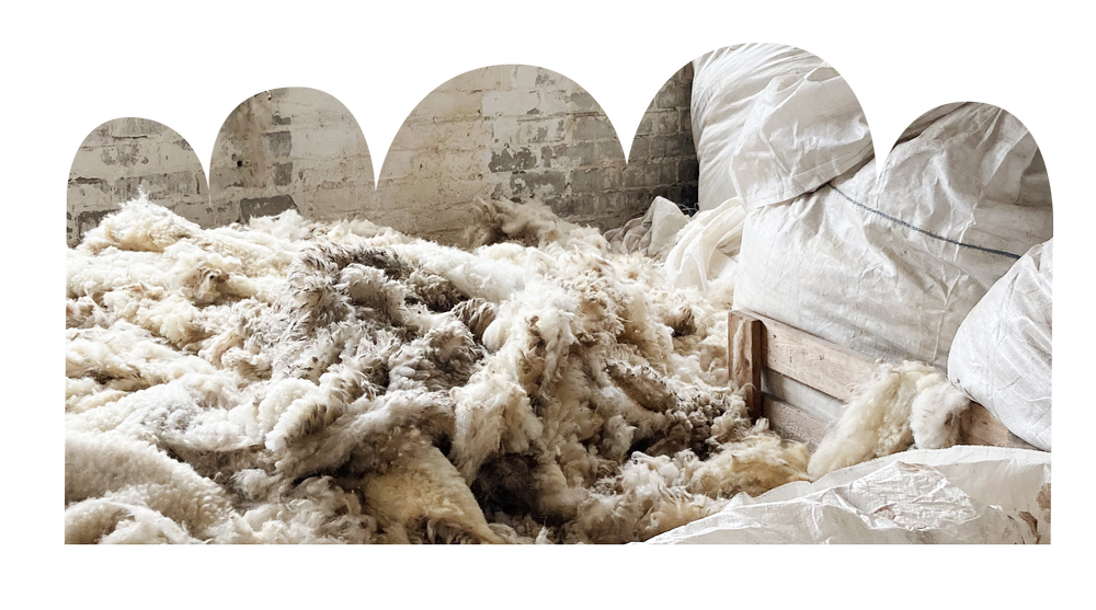 What are sustainable packaging materials? (+ Top 4 examples) | Woola