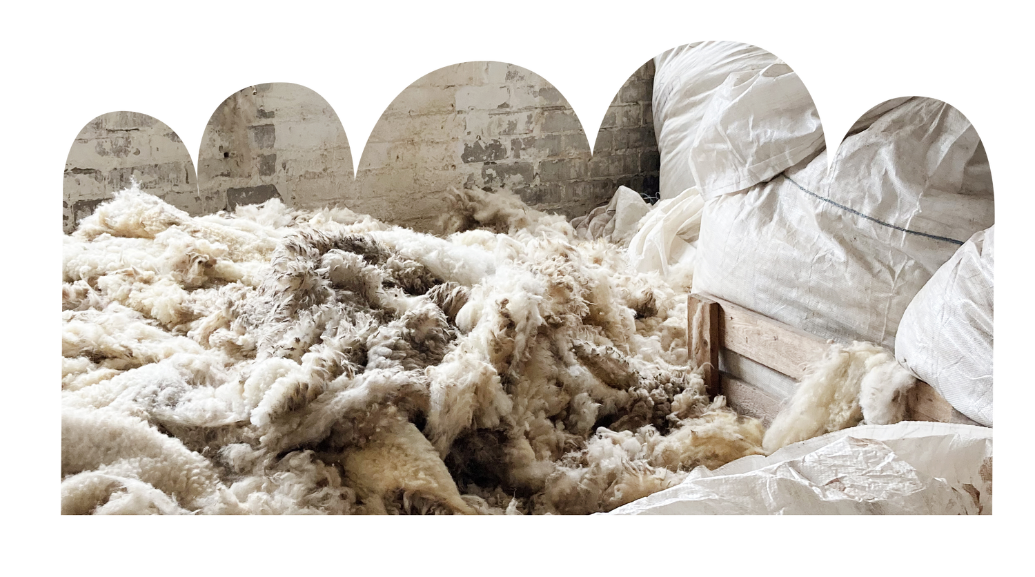 What are sustainable packaging materials? (+ Top 4 examples) | Woola