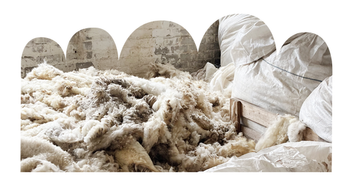 What are sustainable packaging materials? (+ Top 4 examples) | Woola