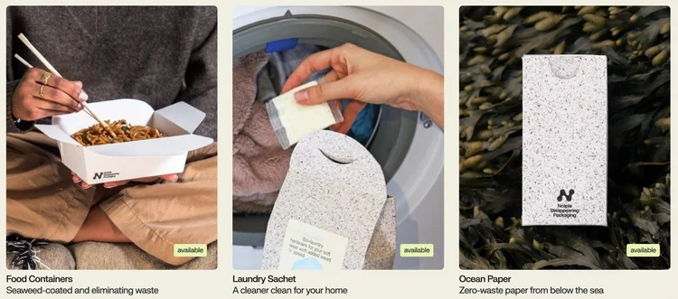 What are sustainable packaging materials? (+ Top 4 examples) | Woola