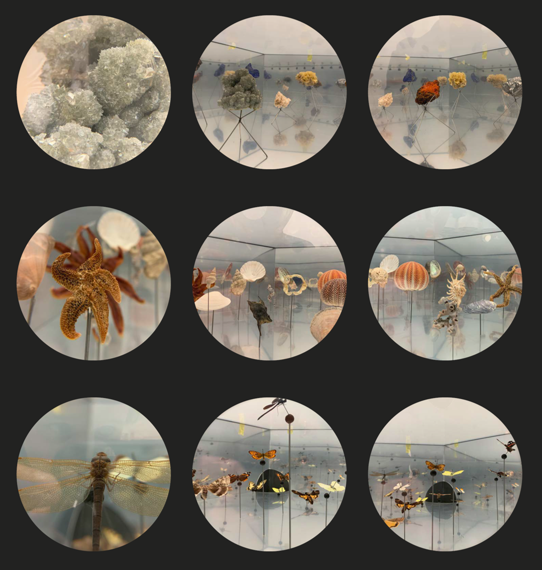 Collection exhibitions at the new Munch museum — manthey kula