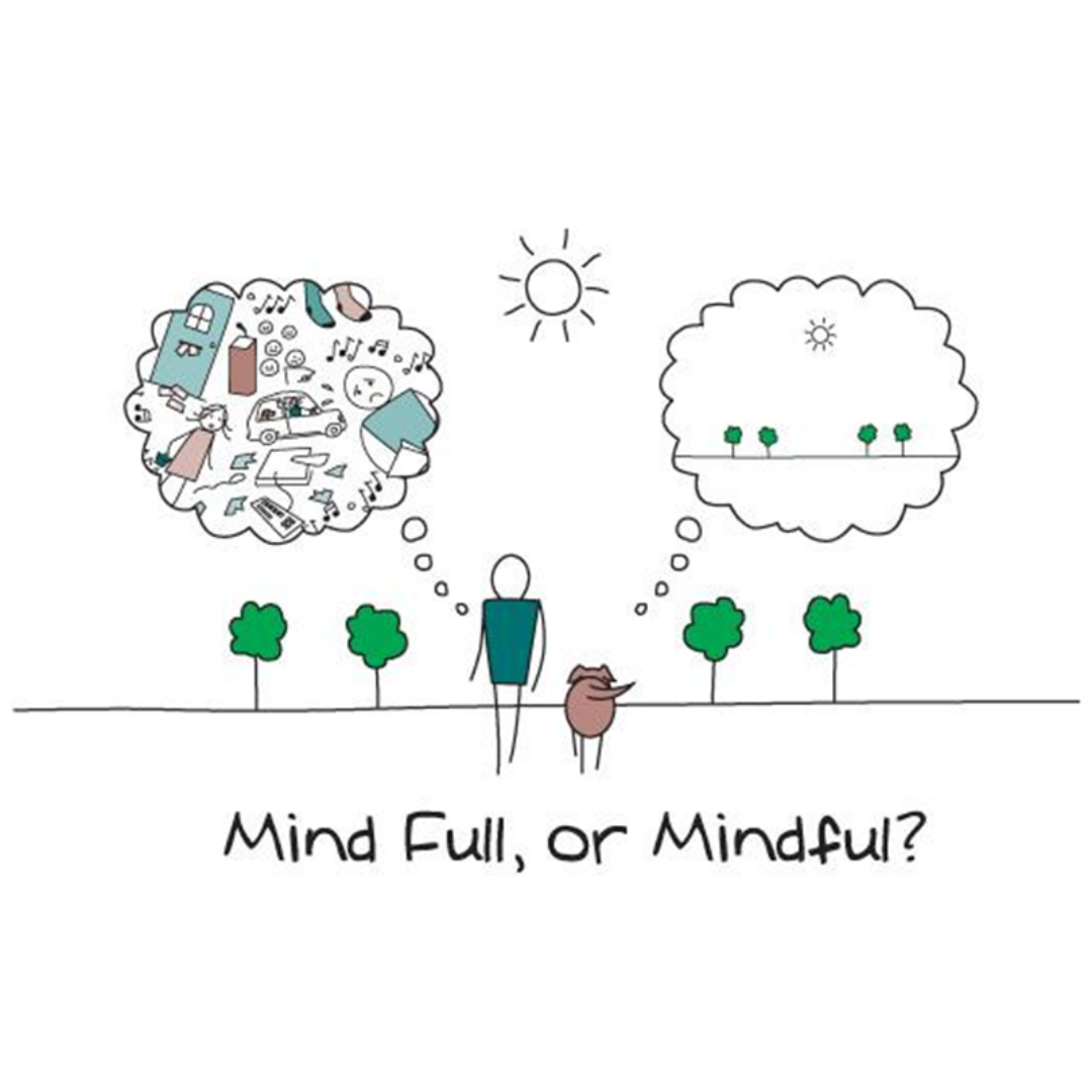 Mindful Techie | Tech Tips