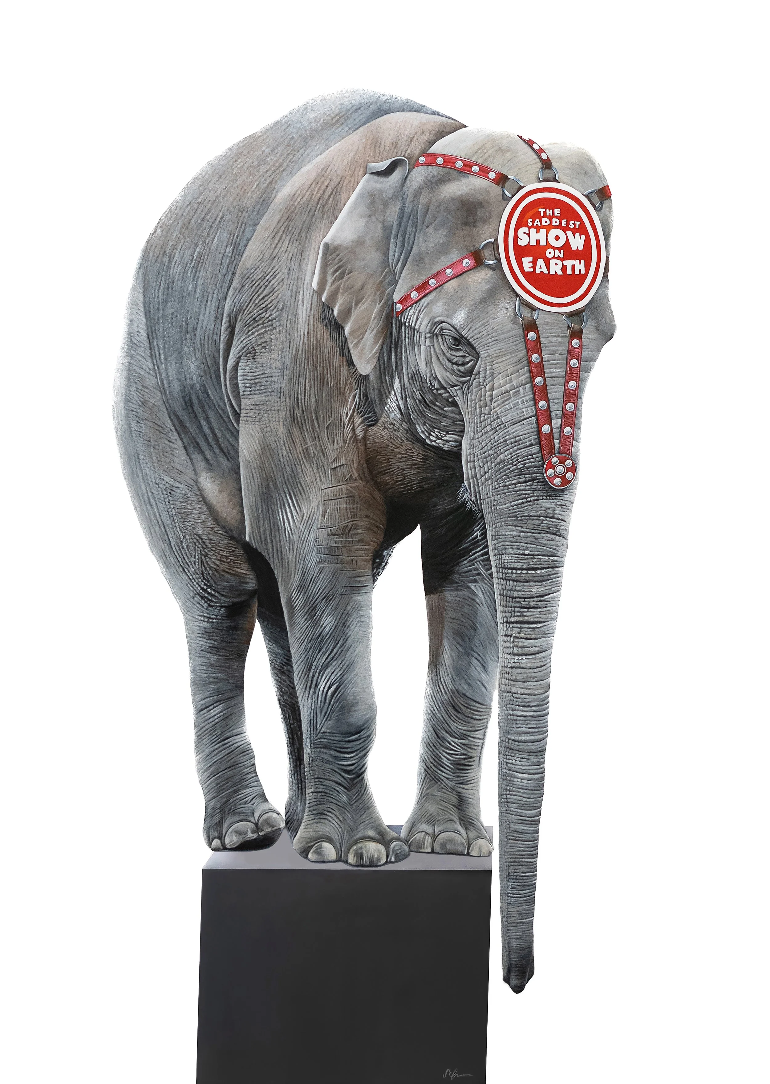 Sophie Green Fine Art — COMMODITIES