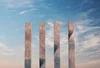 Wood Element for Health, Energy, and Wealth — Clear Space Feng Shui Austin