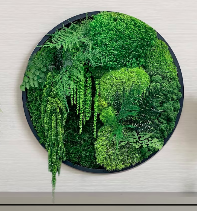 Wood Element for Health, Energy, and Wealth — Clear Space Feng Shui Austin