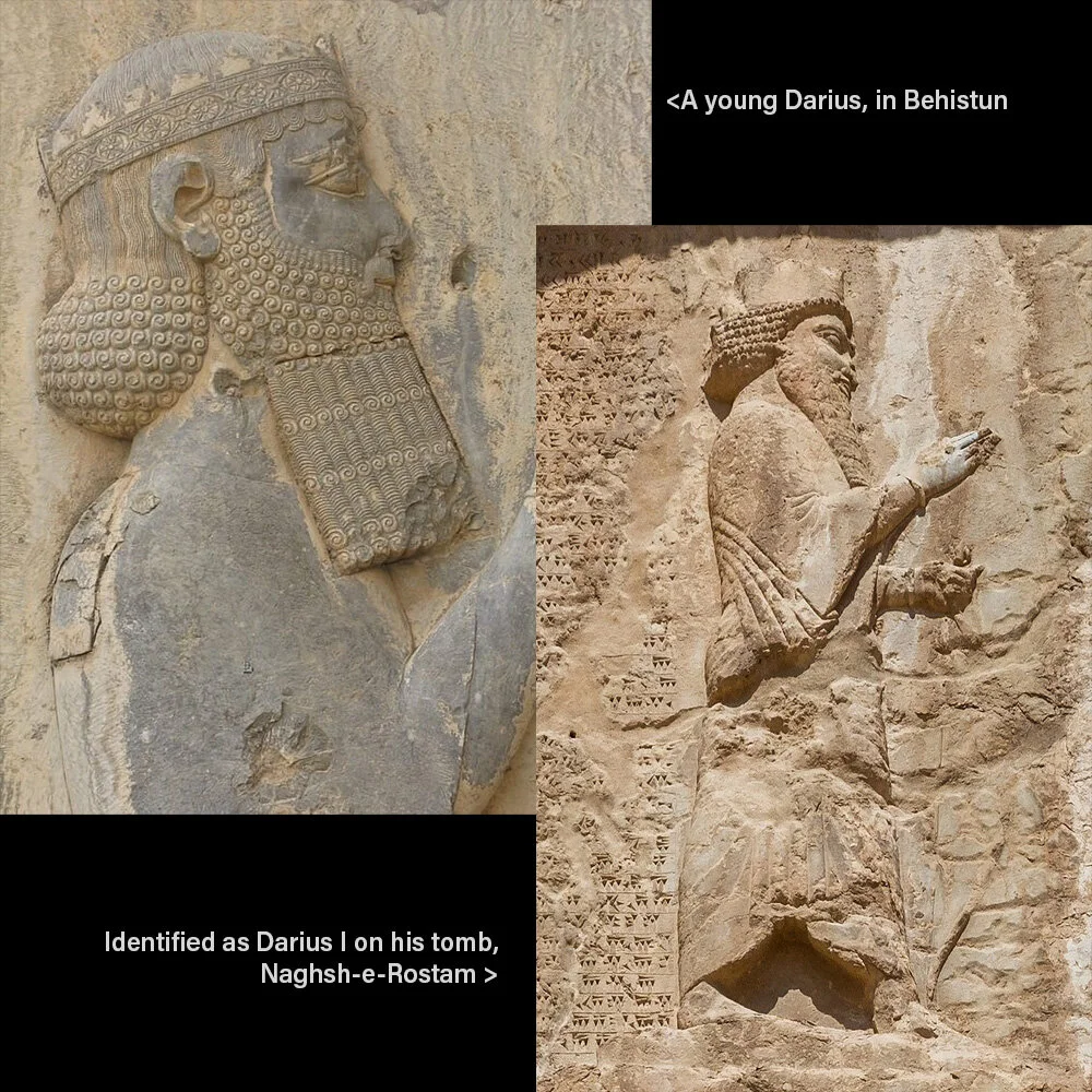 Darius I — Eranshahr