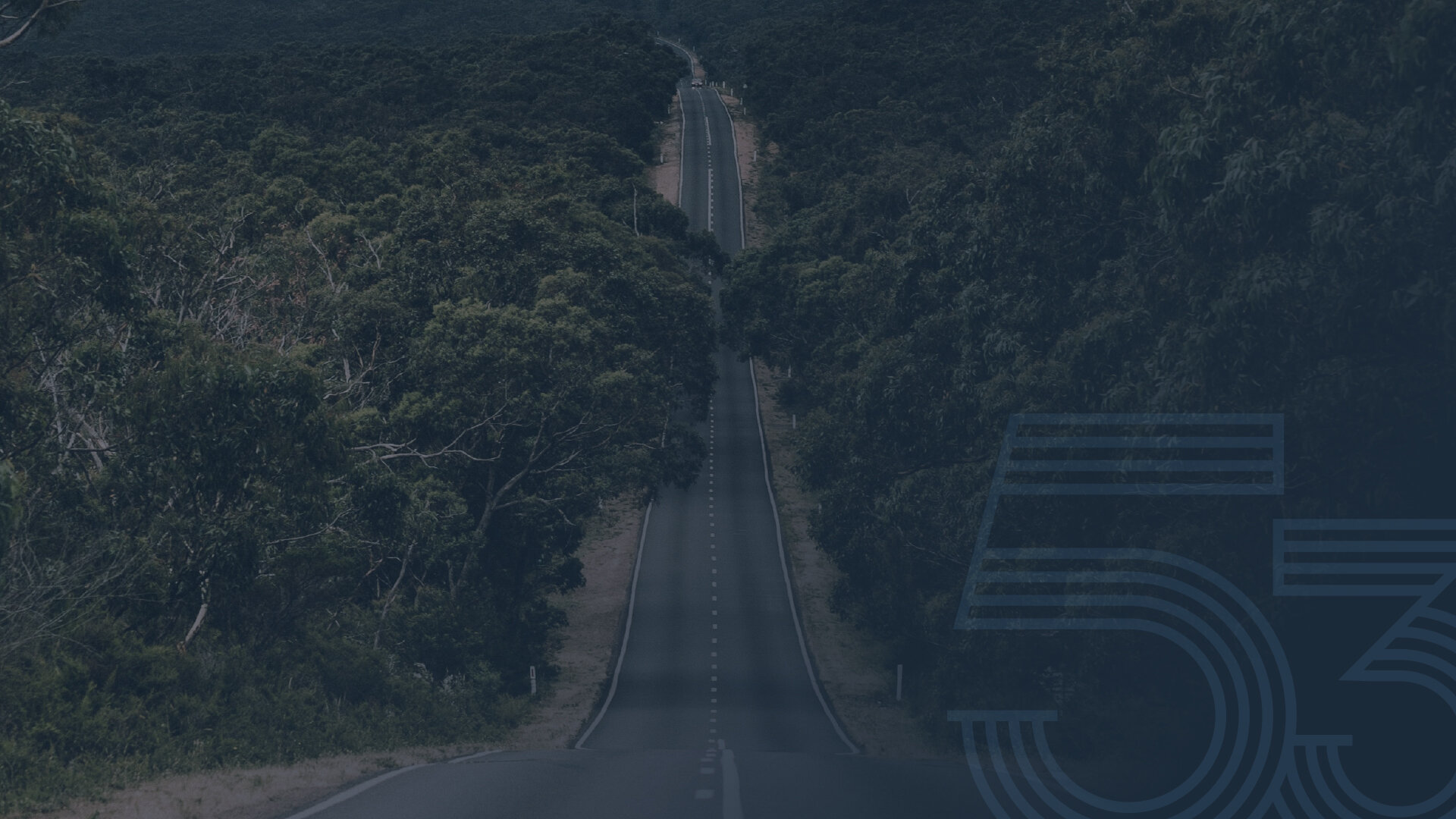Venture 53 Fund and Accelerator