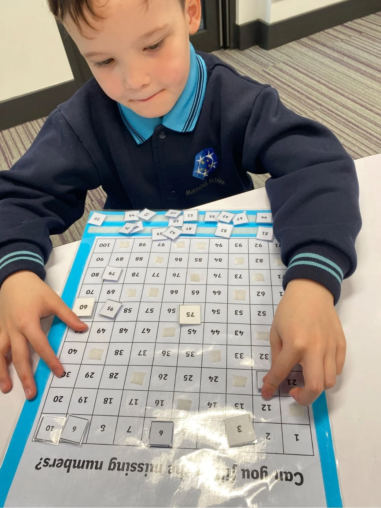 Numeracy Programs — Marnebek School