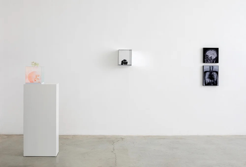 Body of Work | Itamar Gilboa — Alon Segev