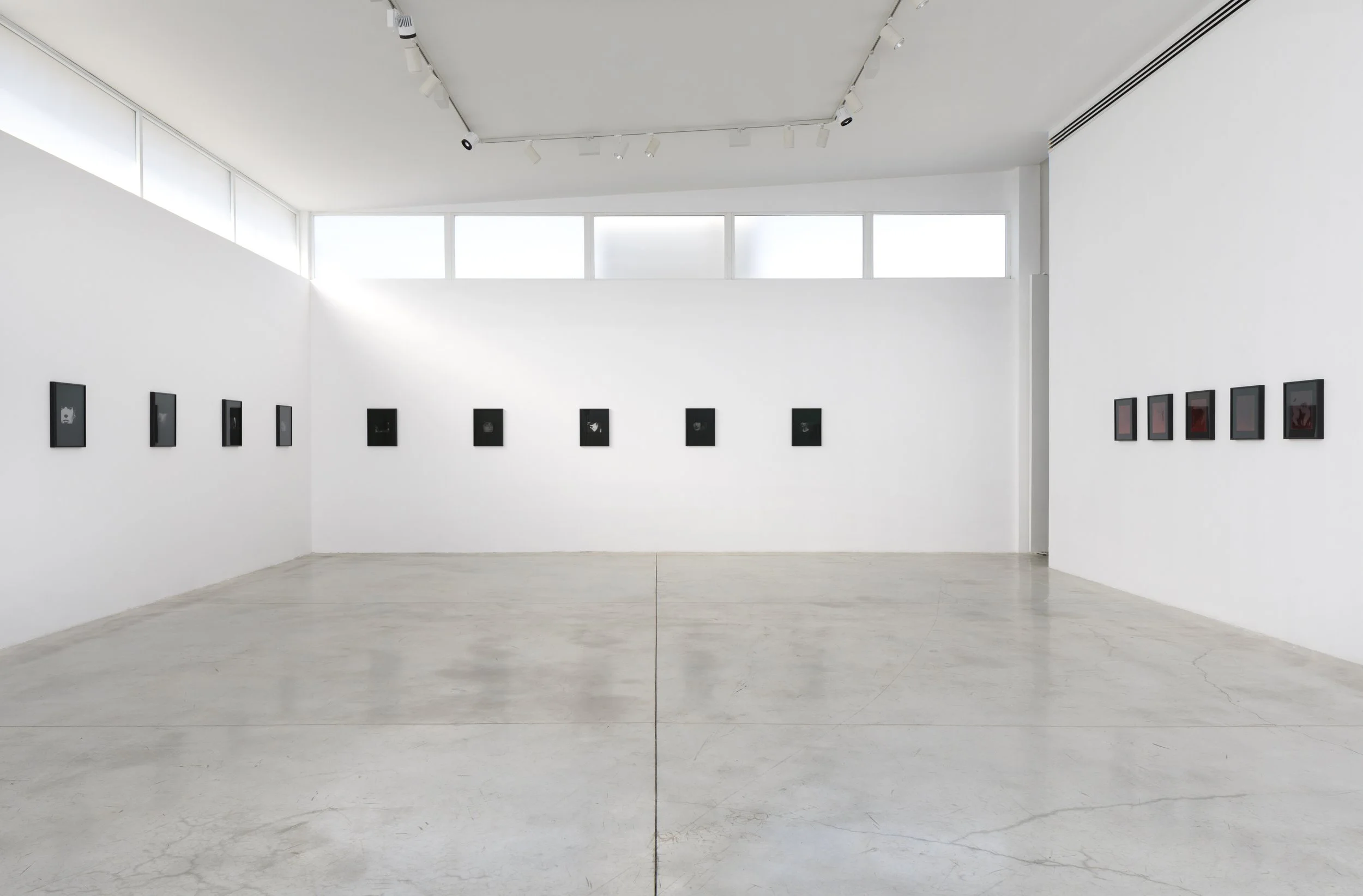 In the Sun’s Shadow | Yana Rotner — Alon Segev