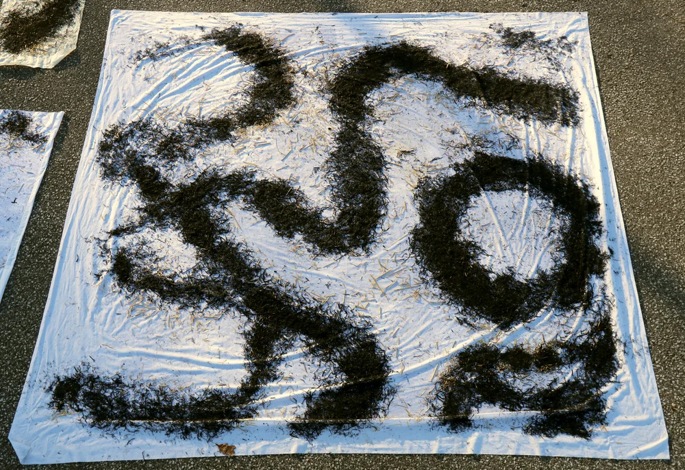 Printing Fire — Hrista Stefanova