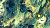 Best Abstract Wallpapers on Wallpaper Engine — Wallpaper Engine Space