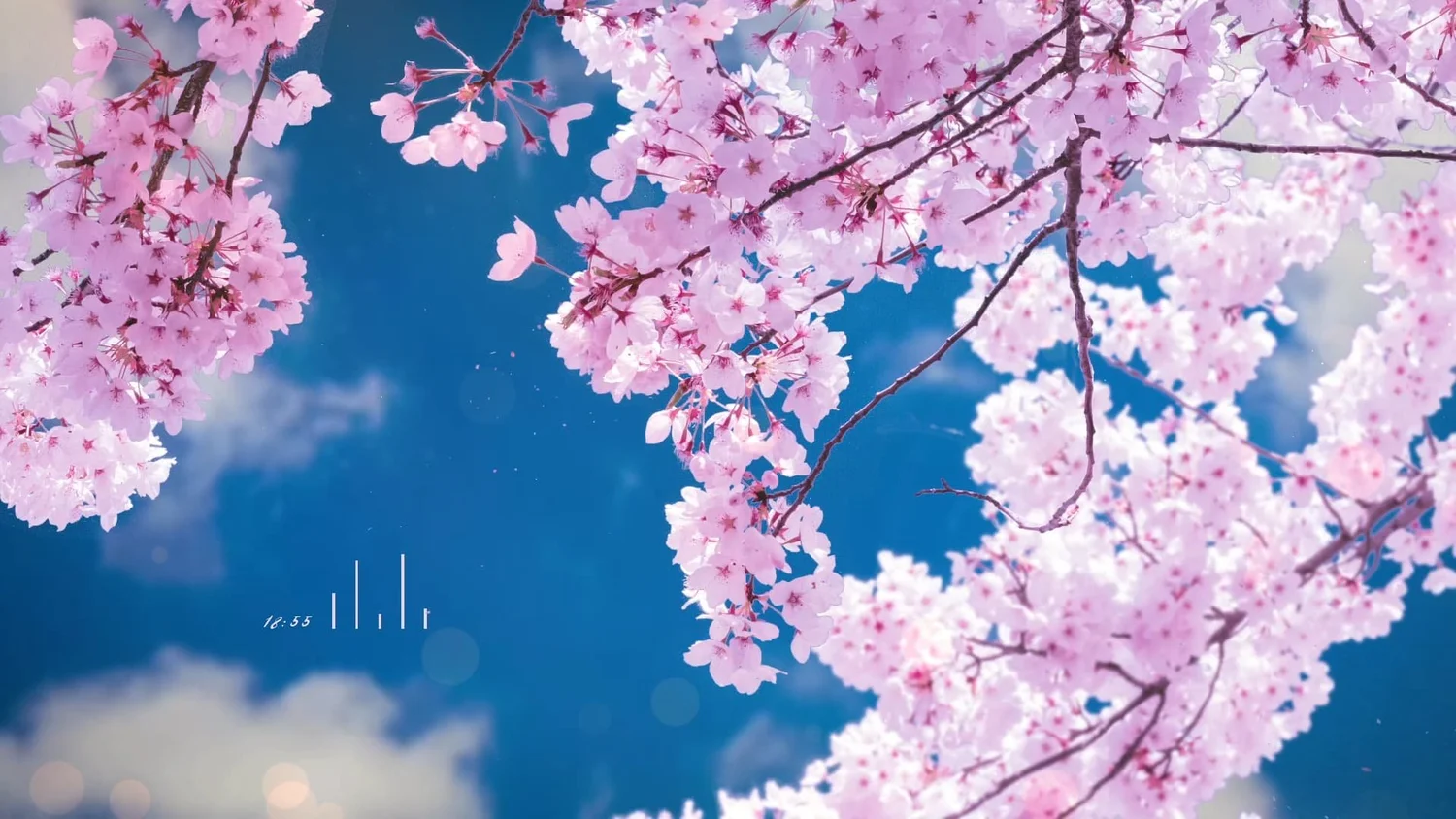 4k — Explore Top Animated and Dynamic Wallpapers