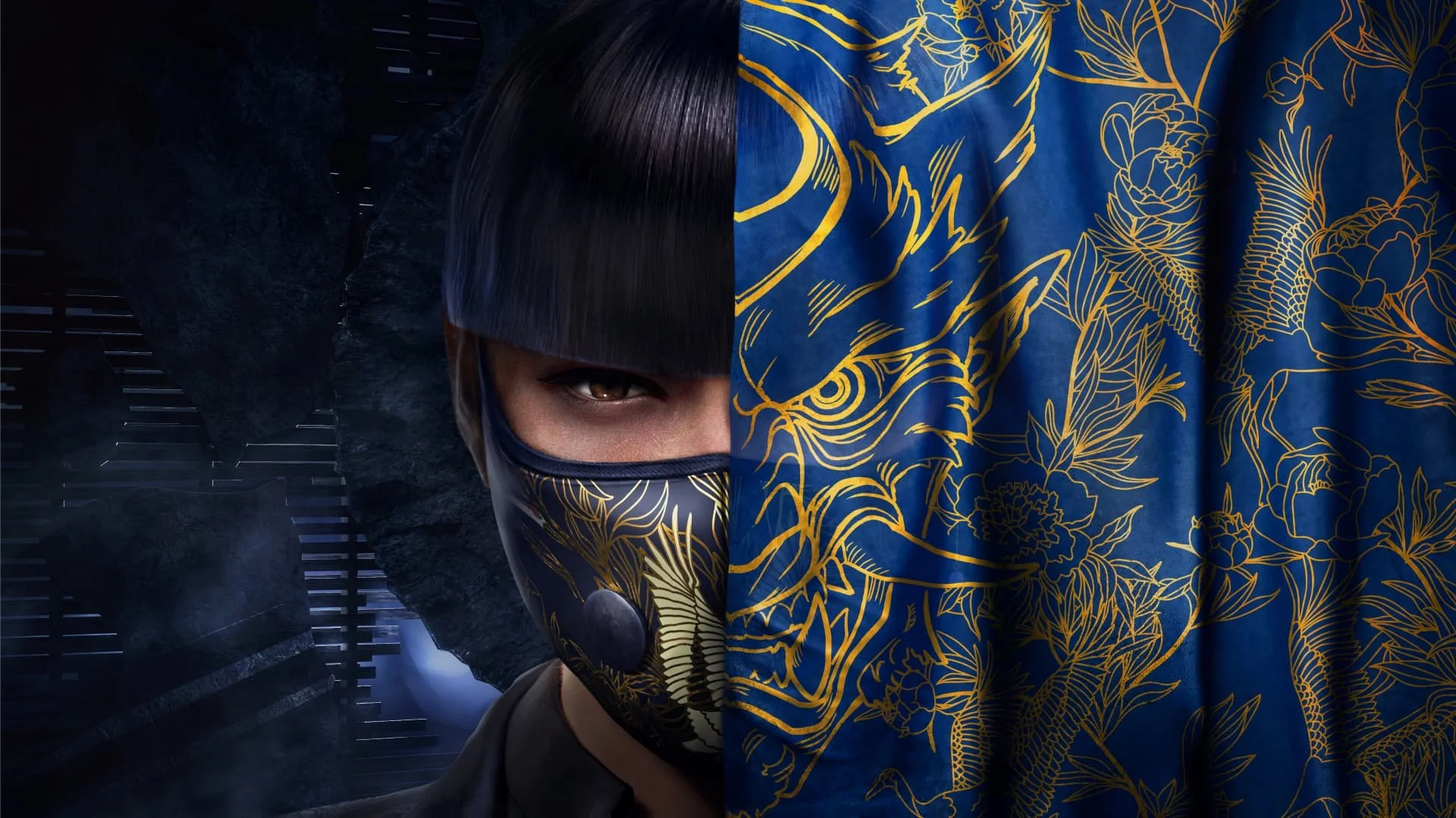 Best Rainbow Six Siege Wallpapers - The Ultimate Collection — Wallpaper ...