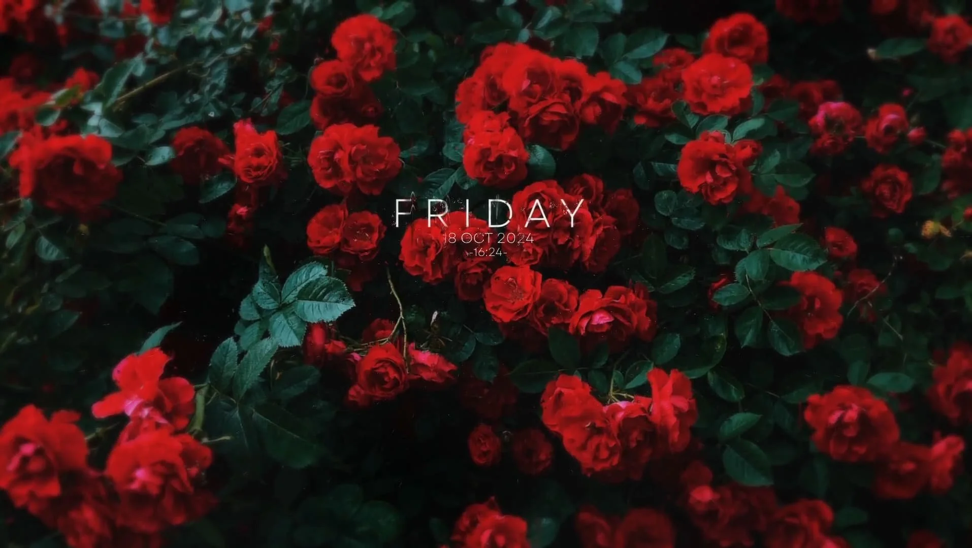 Best Red Wallpapers on Wallpaper Engine — Wallpaper Engine Space