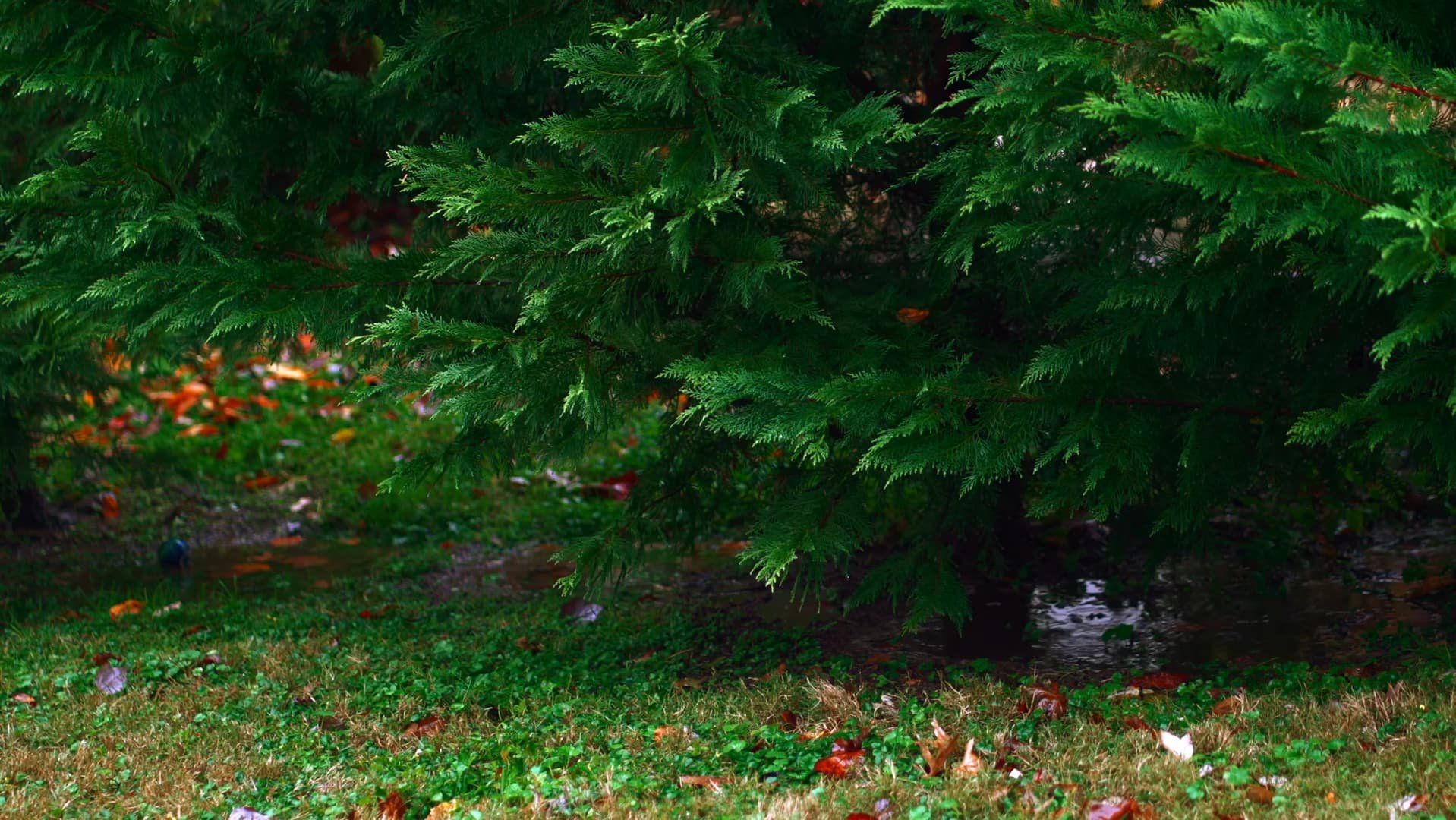 Wallpaper Engine S Best Of 2023 Latest And Greatest Wallpapers