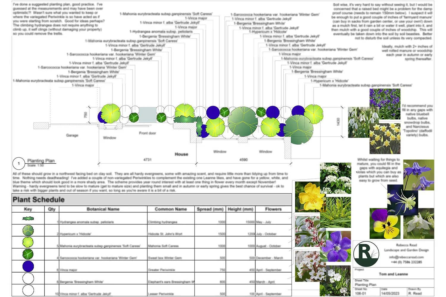 Services - Rebecca Read Landscape and Garden Design