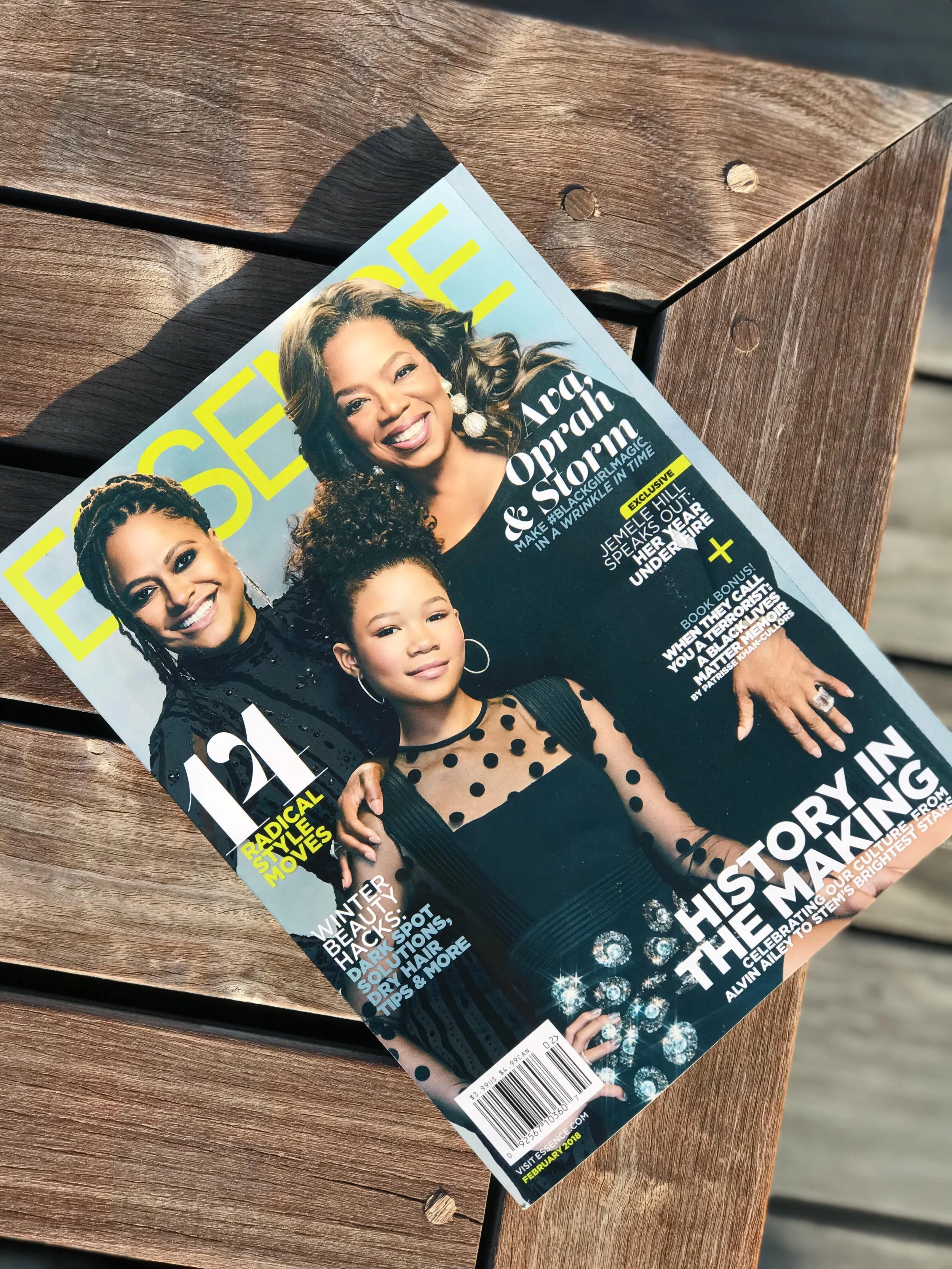 Left Brain — Mareena Robinson Snowden