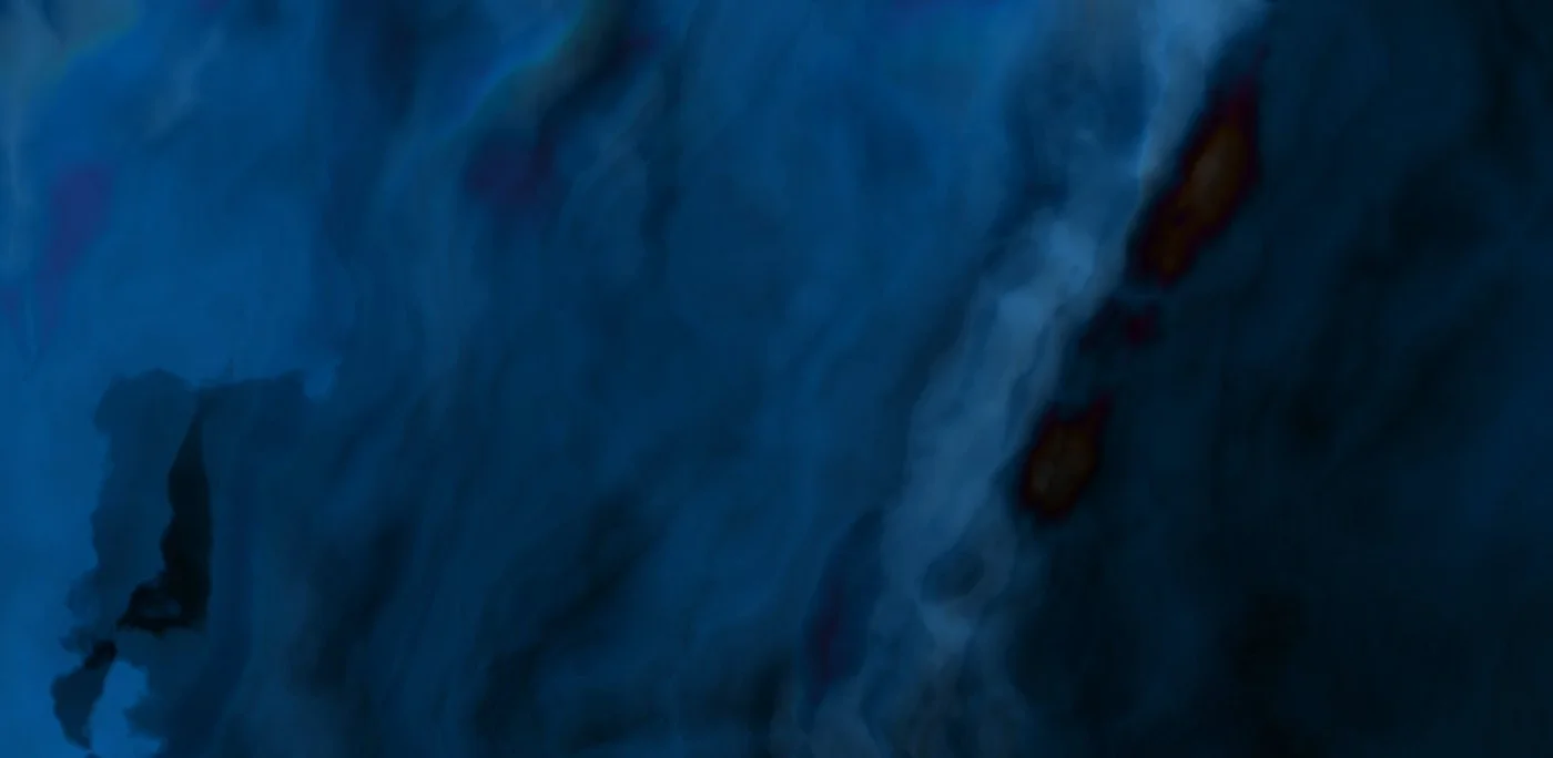 The Branded — JO RICCIONI