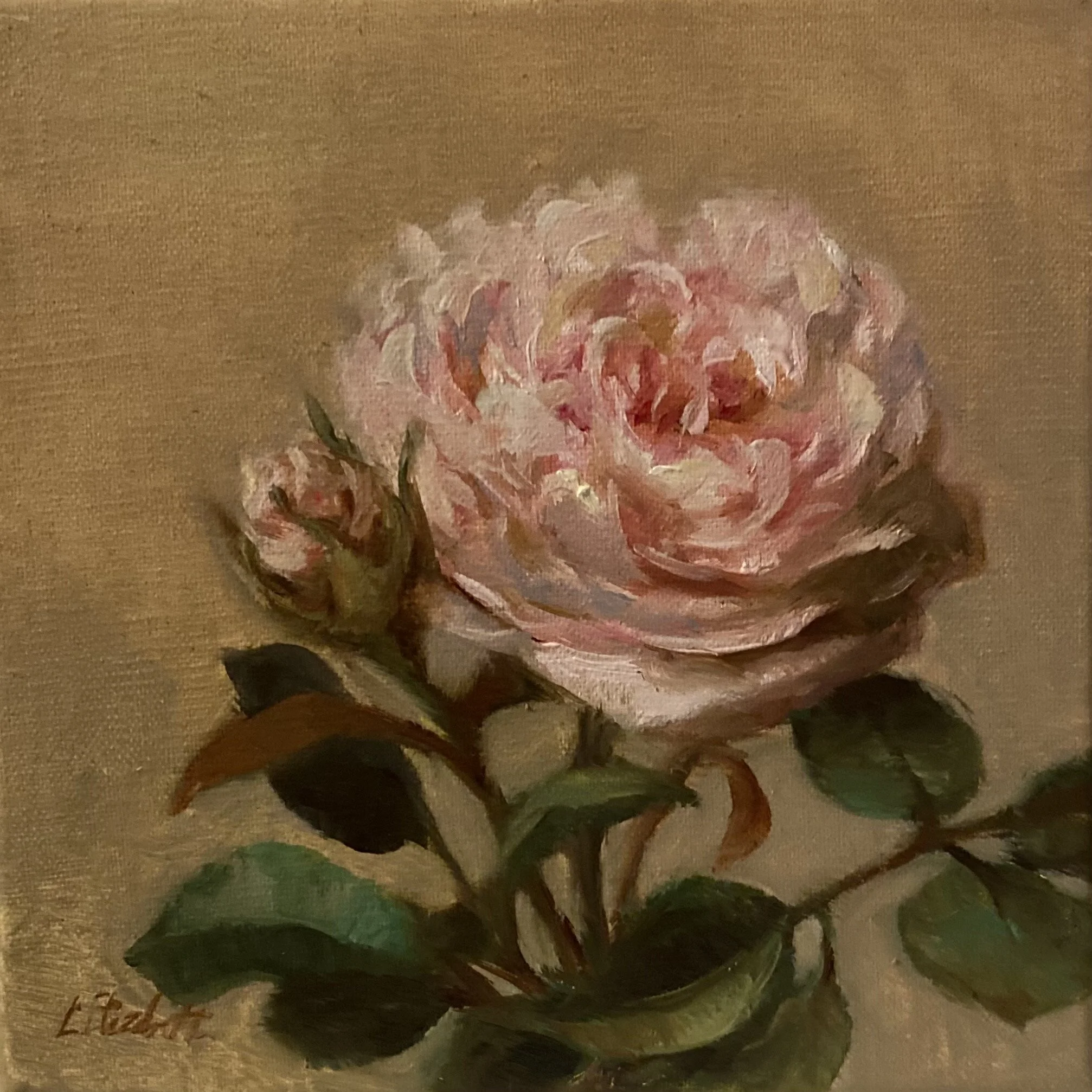 Carolina Elizabeth Fine Art Studio