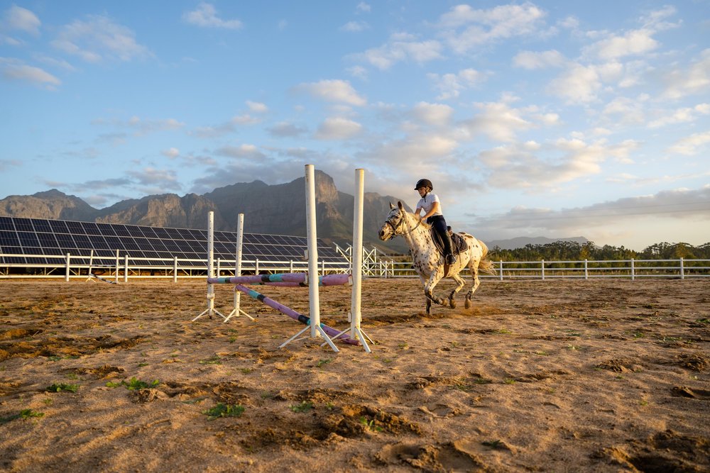 Gallery — Ludus Magnus