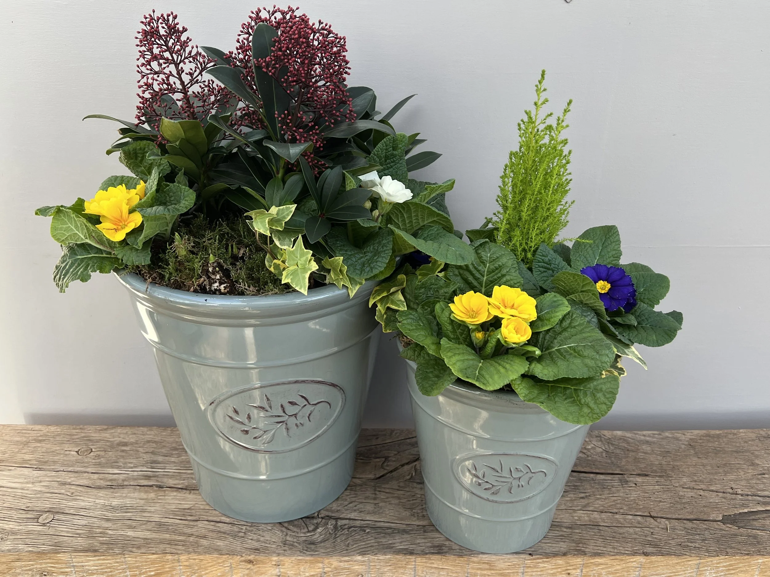 Dorset Planters