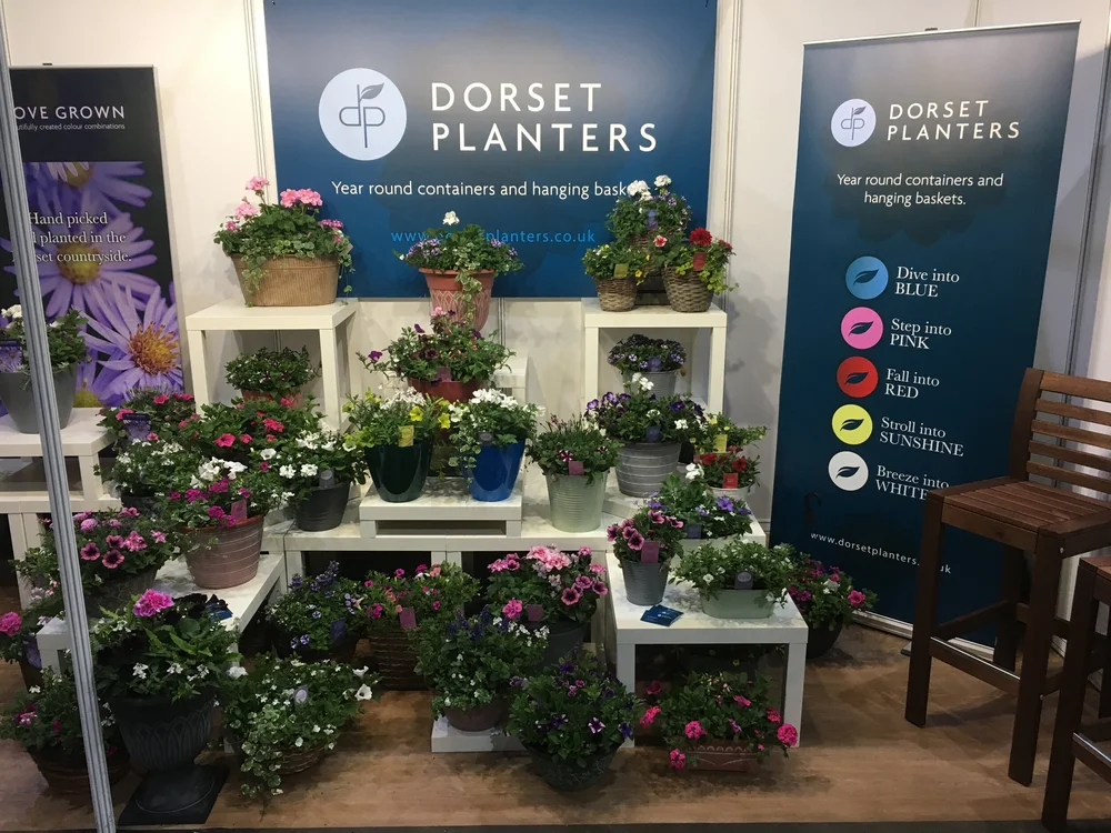 Dorset Planters