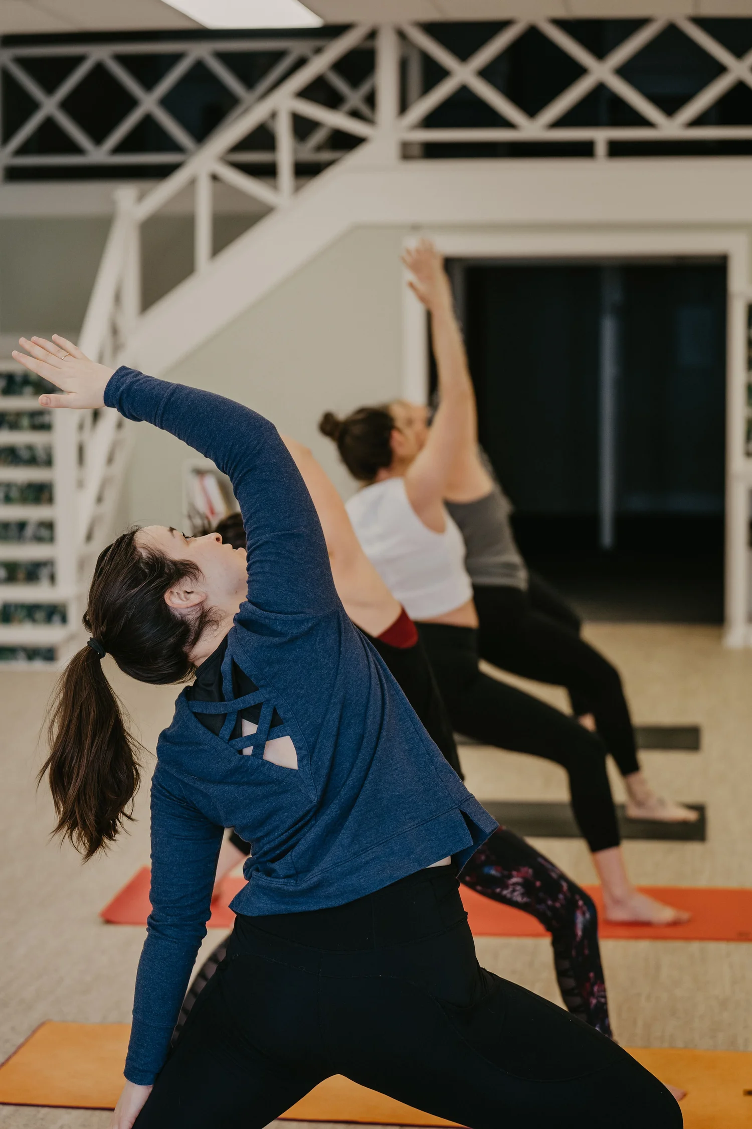 Rooted Yoga + Fitness