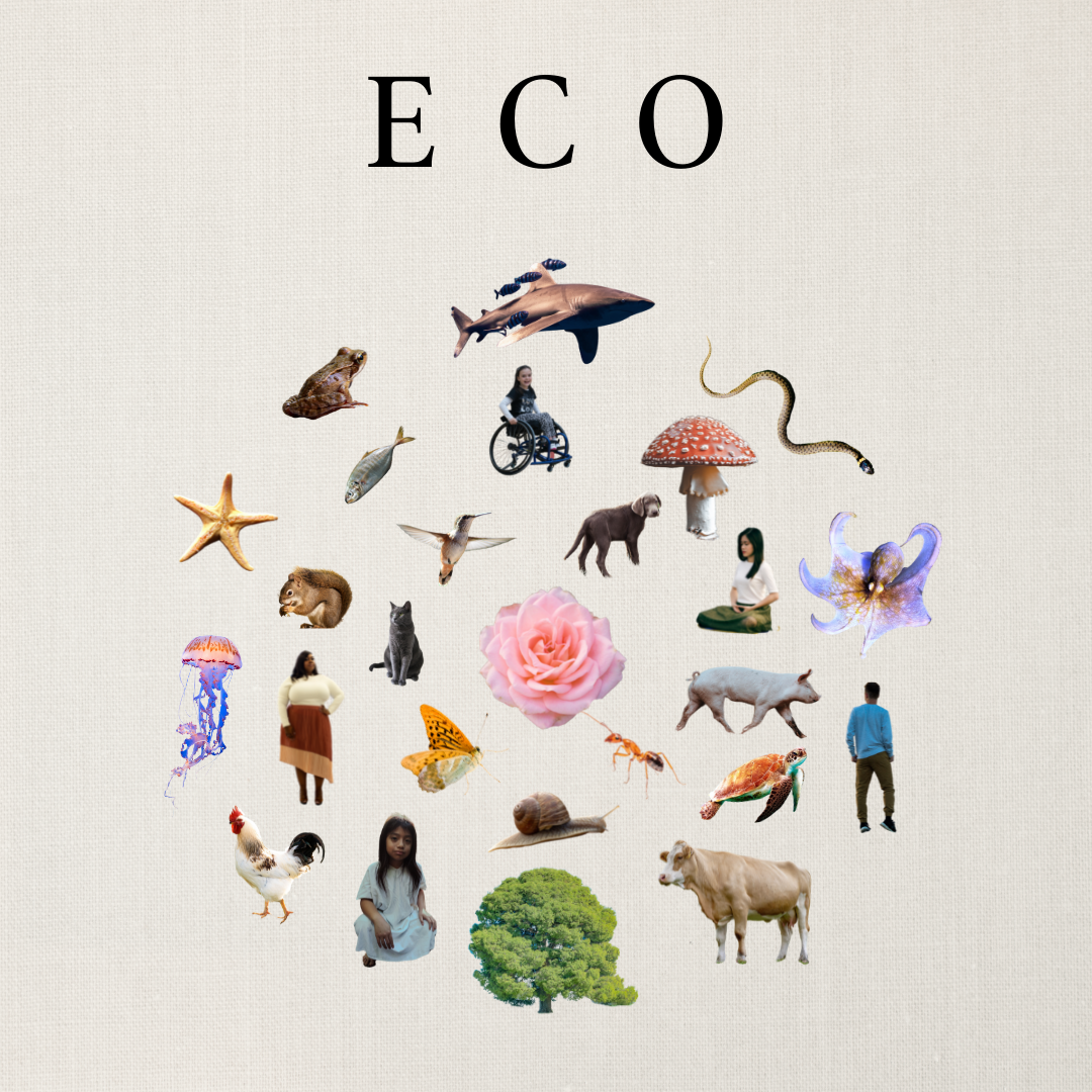 Ecological Collages — Kira Gresoski—Environmental Artist, Writer, and ...