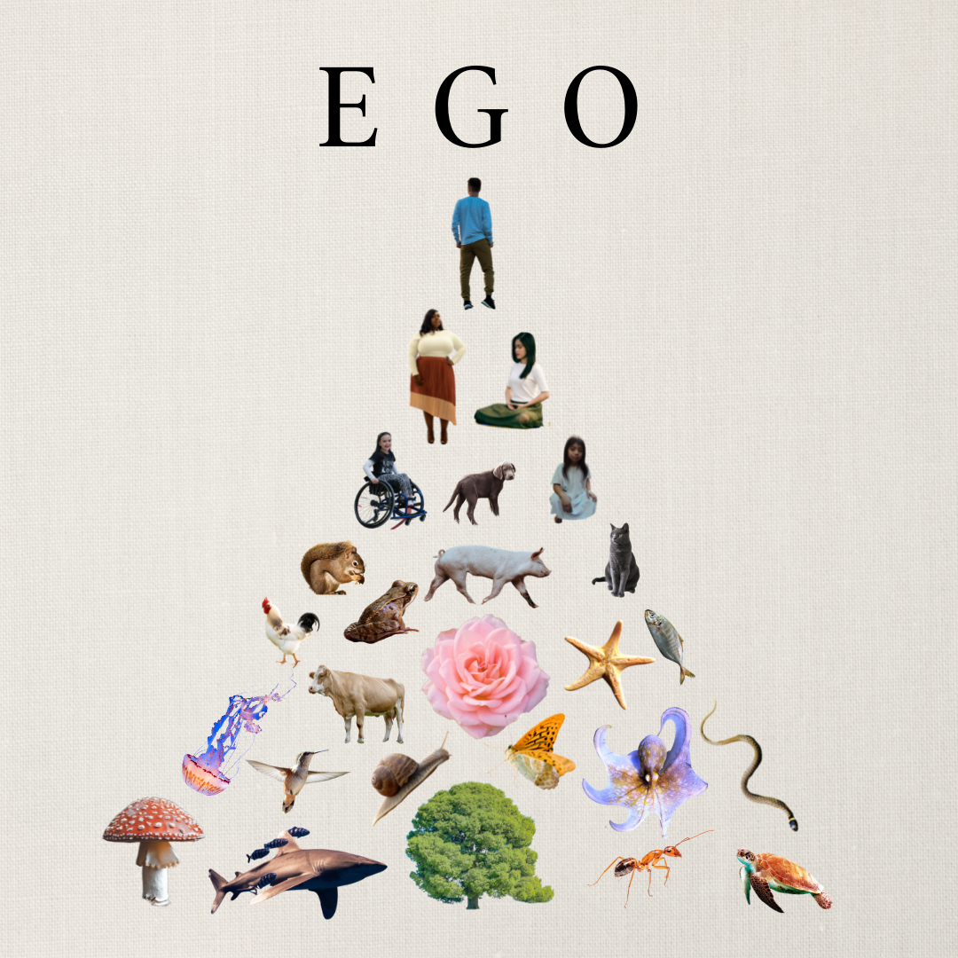 Ecological Collages — Kira Gresoski—Environmental Artist, Writer, and ...