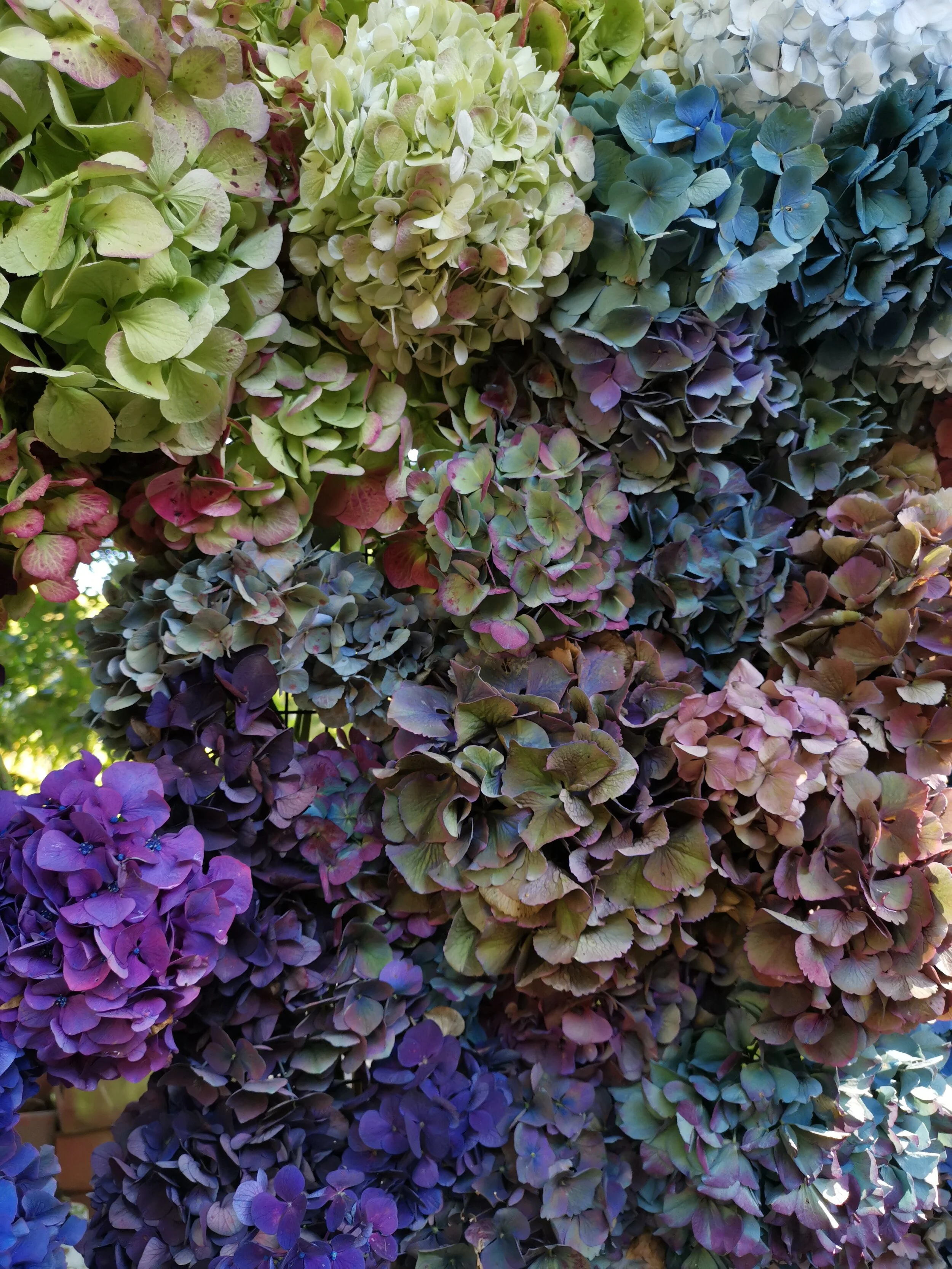 Installations — horrobin and hodge