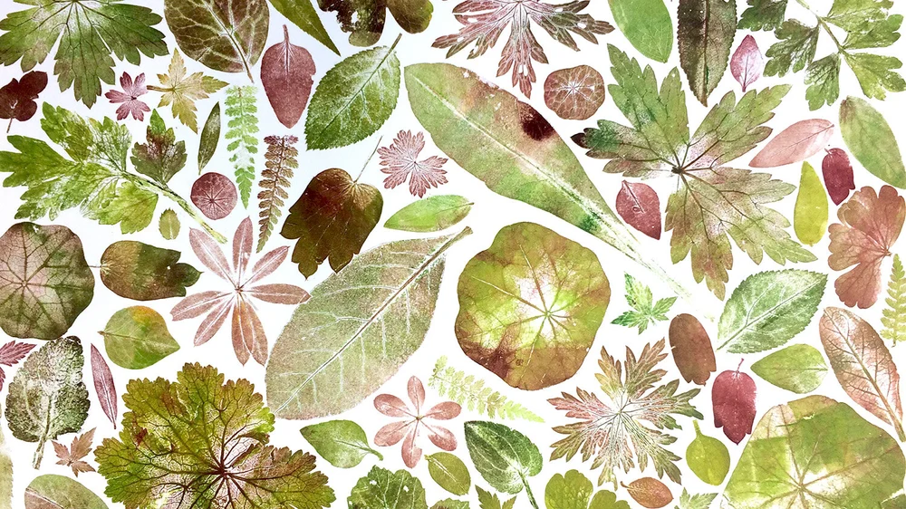 Slow Lane Studio - Natural Colour, Dyes & Plant-Based Pigments