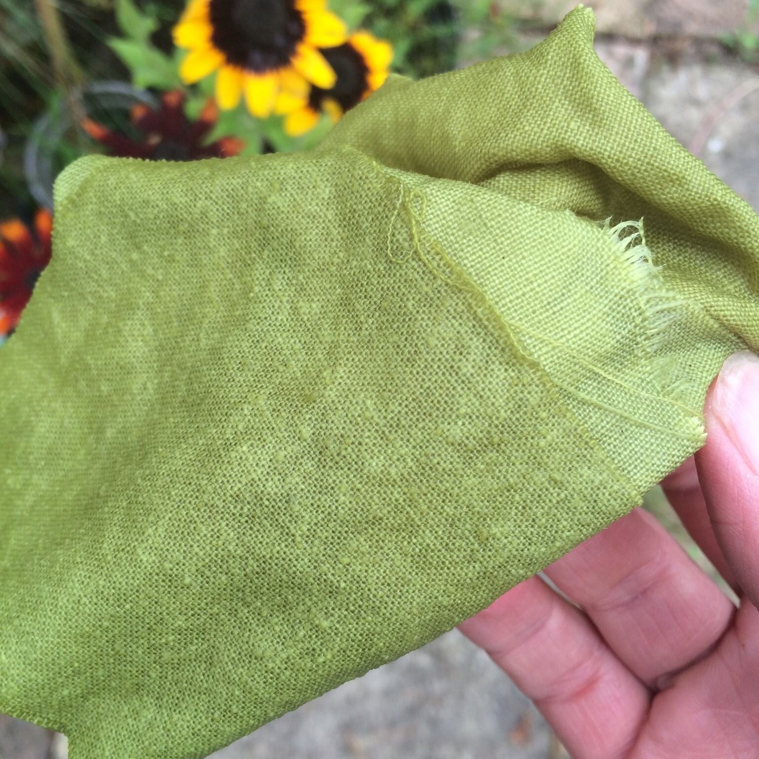 Slow Lane Studio - Natural Colour, Dyes & Plant-Based Pigments