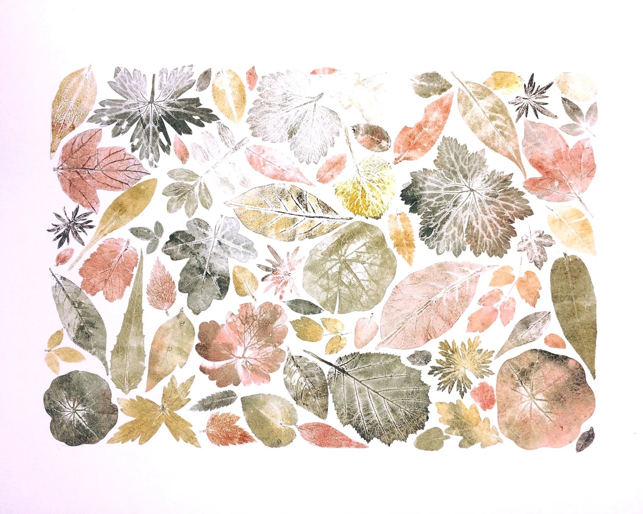 Slow Lane Studio - Natural Colour, Dyes & Plant-Based Pigments