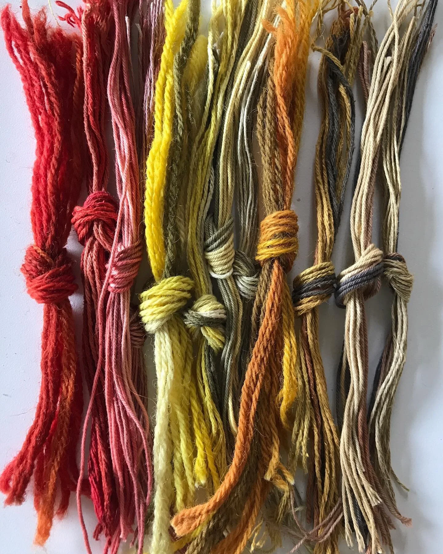Slow Lane Studio - Natural Colour, Dyes & Plant-Based Pigments