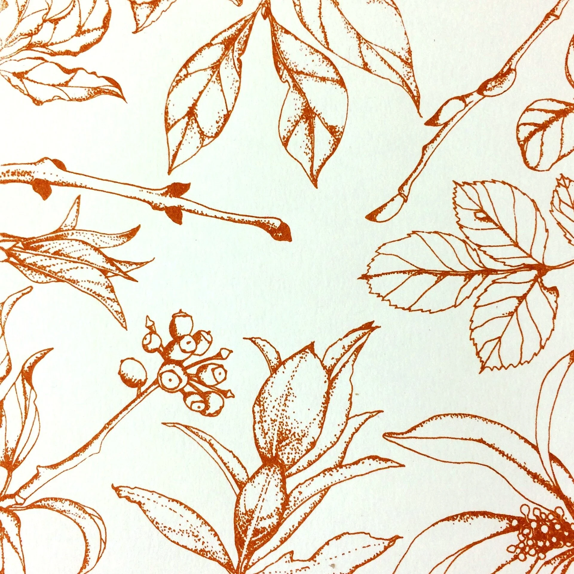 Slow Lane Studio - Natural Colour, Dyes & Plant-Based Pigments