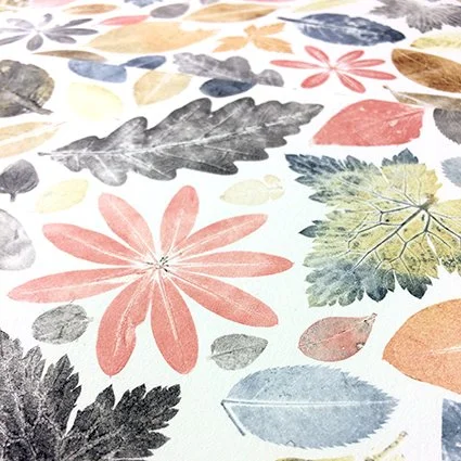 Slow Lane Studio - Natural Colour, Dyes & Plant-Based Pigments