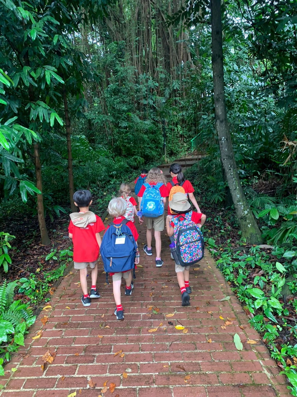 KBH Fabulous Winter Camp | Join the Winter Camp Today! Explore Quality ...