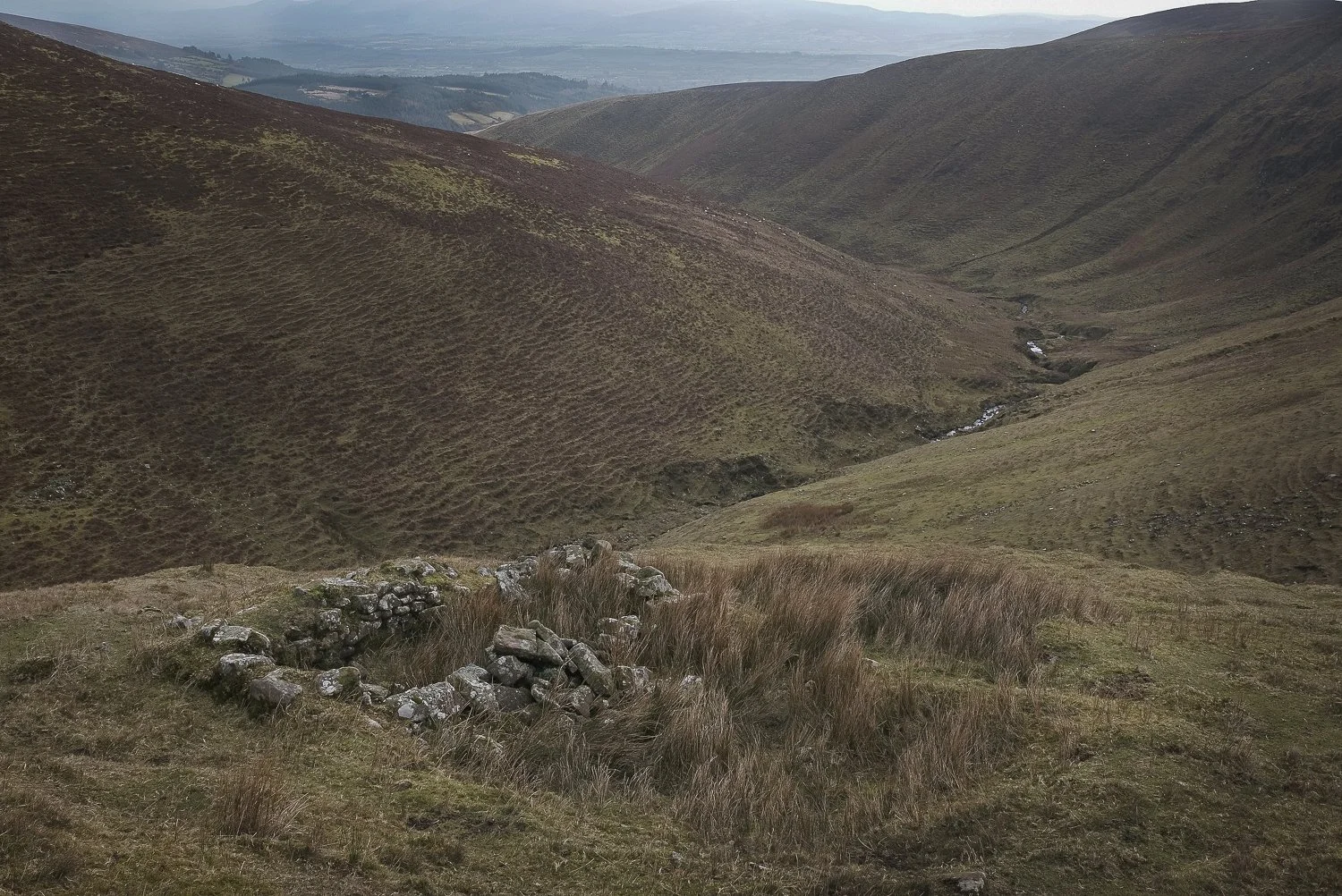 Field Notes Blog — Alan Tobin Photography