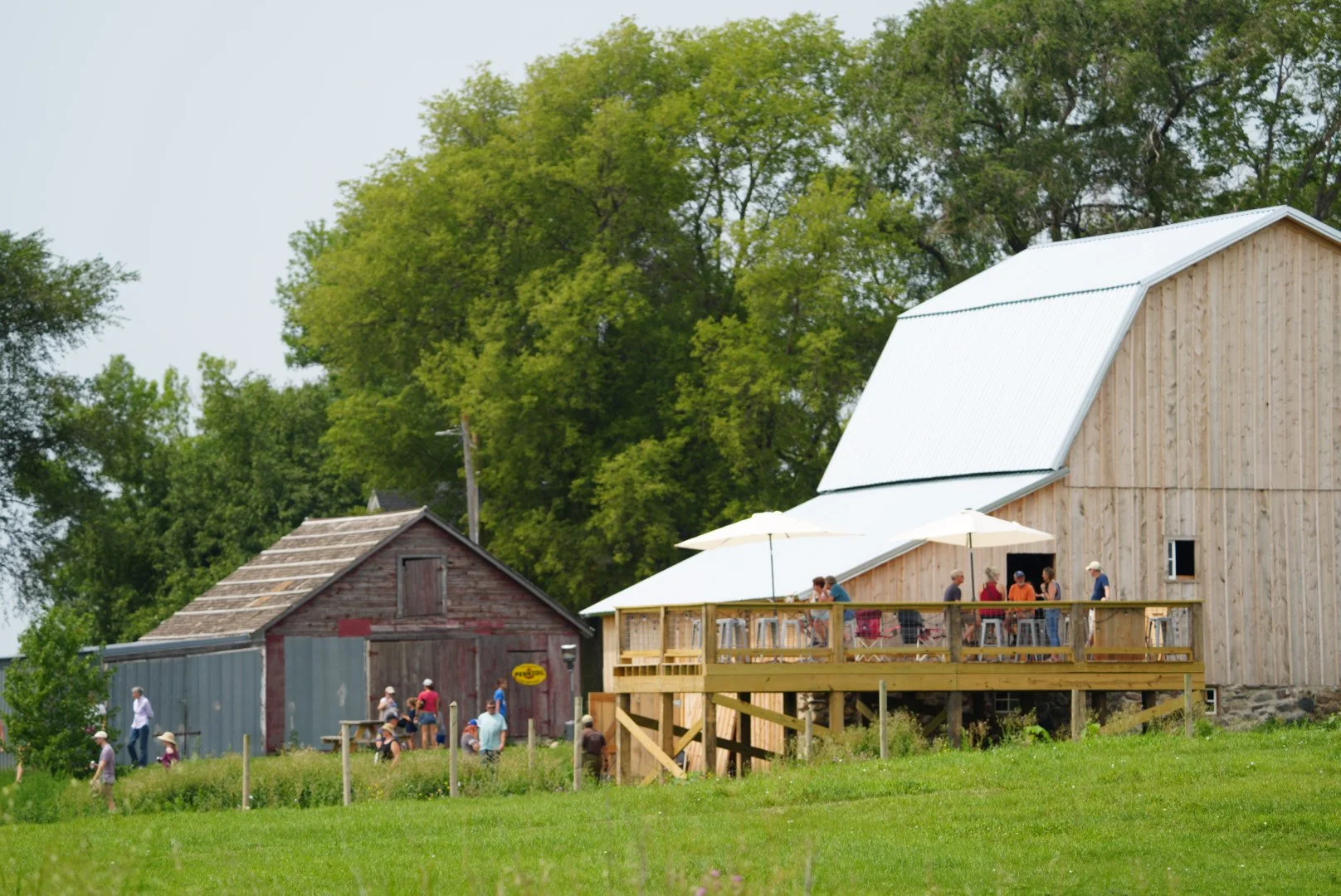 General 3 — The Good Earth Farm