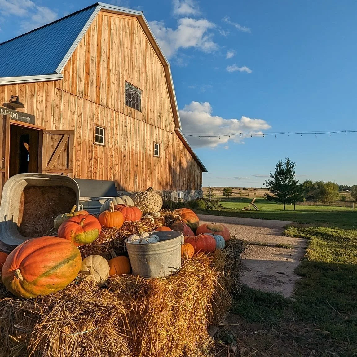 General 3 — The Good Earth Farm