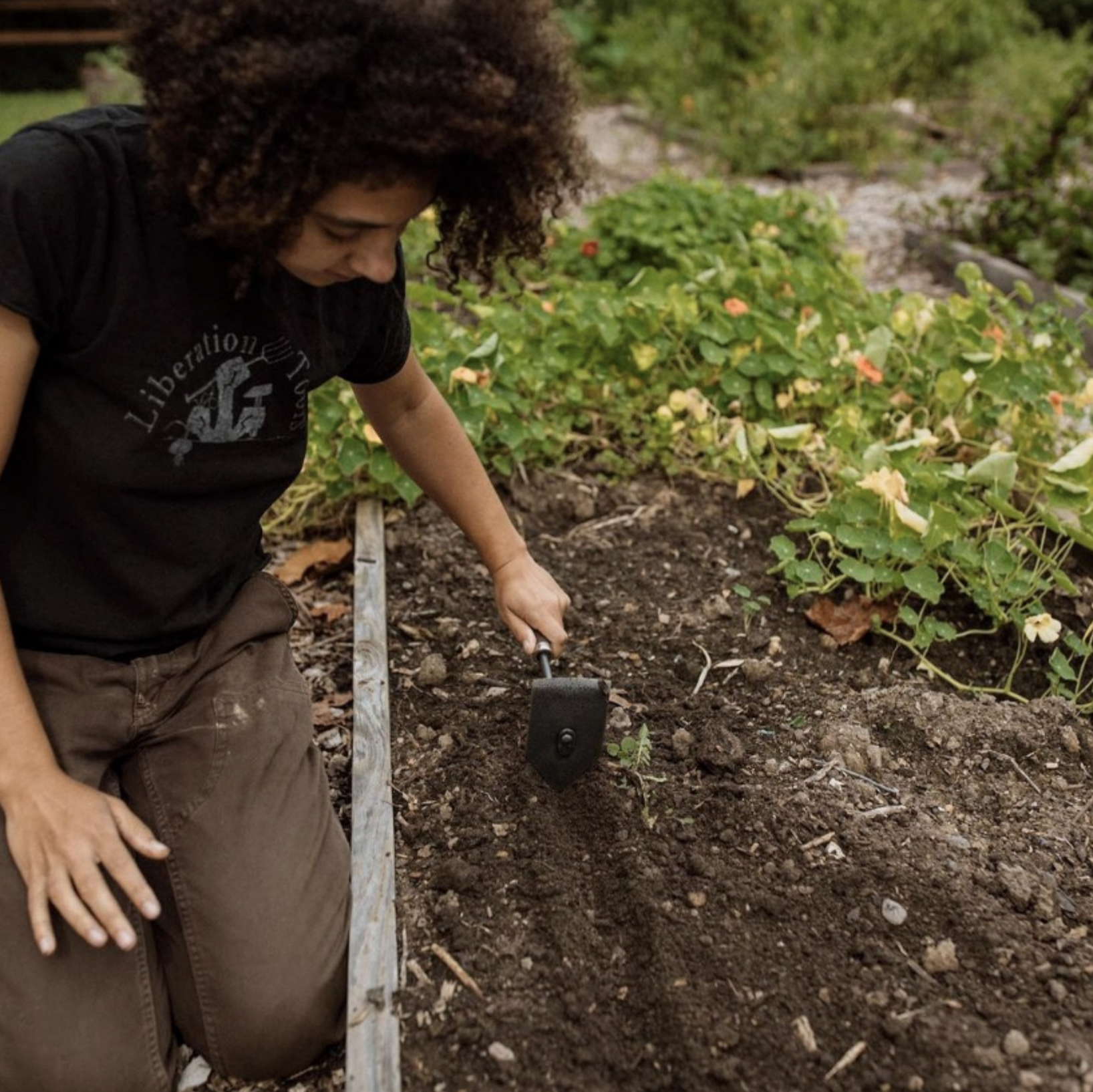 Support BIPOC Farmers — Feed Asheville: West